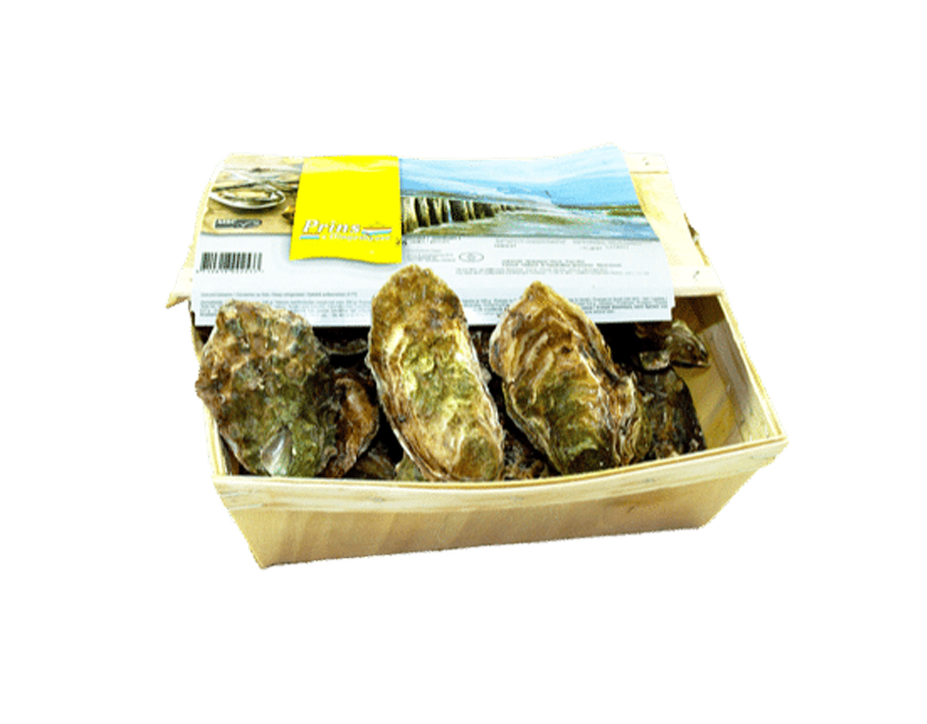 Austern - Fischlexikon - Wissen - Viktor Nußbaumer Bestes für Küche und ...